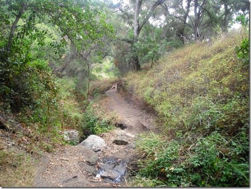 On the Run: Car Wreck Trail